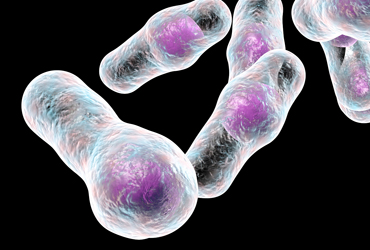 FDA Approves Firvanq to Treat Clostridium difficile, Colitis