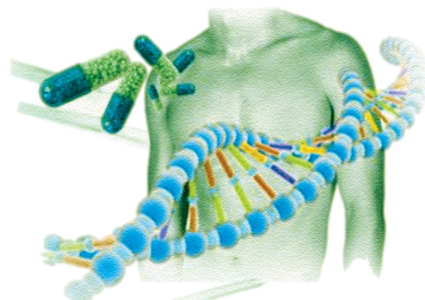 Anticoag Stewardship Guides DOAC Conversions