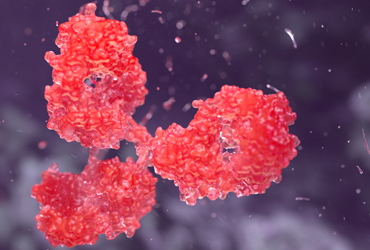 FDA Approves Hadlima Biosimilar for RA, Other Inflammatory Condition