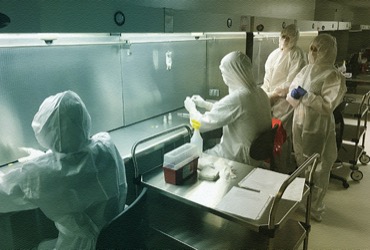 A Standardized Solution to Better Compounding