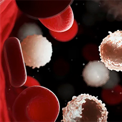 Syringe Pull-Back and Other Barriers to IV Workflow Safety - Pharmacy ...