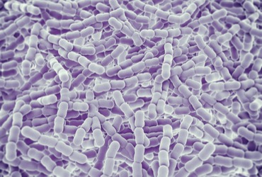 Machine Learning Helps Suss Out Sepsis Readmissions