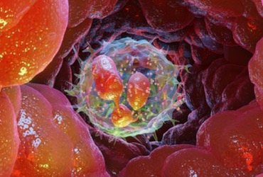 FDA Approves Stimufend, Biosimilar for Neulasta