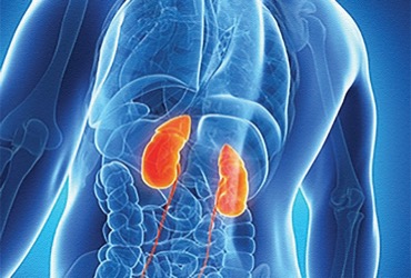 New Guideline Aims for Safer Renal Dosing in Cancer Patients
