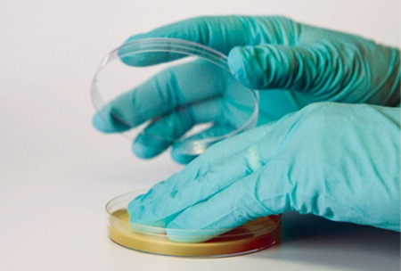 Myths Abound in Environmental Sampling, Cleaning and Other CSP Practices