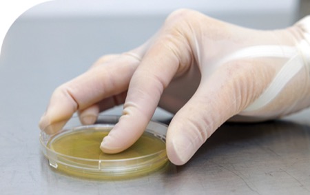 Surface Sampling Among USP Compliance Gaps Seen During 2024 Site Visits