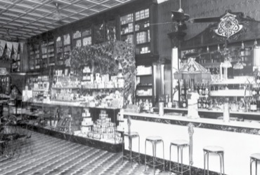 A History of Pharmacy as a Profession