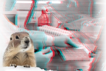 How to Avoid ‘Groundhog Day’ Syndrome When Dealing With Hazardous Drugs