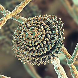 ISMP Updates Often Confused Drug Names List