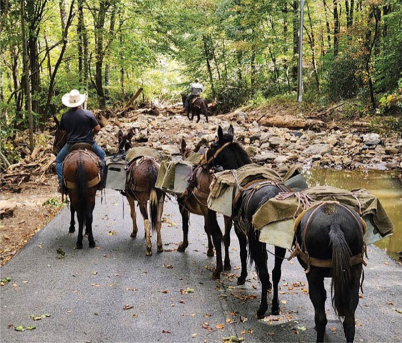 Pharmacists Climate Change Preparedness
