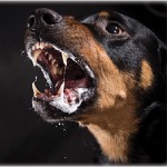 ISMP Updates Recommendations for Tall Man Lettering for Drug Names