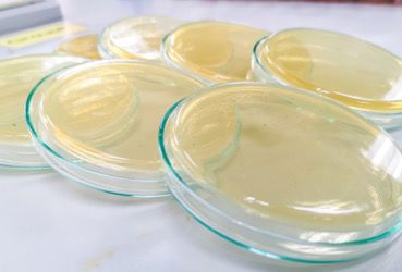 Beyond ‘Pass’ and ‘No Pass’—Making Sampling Data Work for You